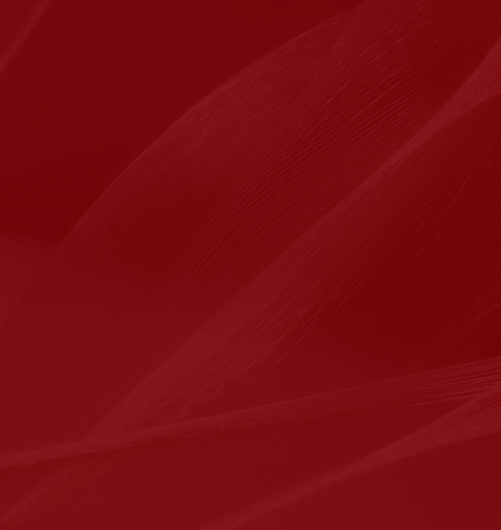 Bubbleroom - BUBBLEROOM - Belt Detail Blazer Pink